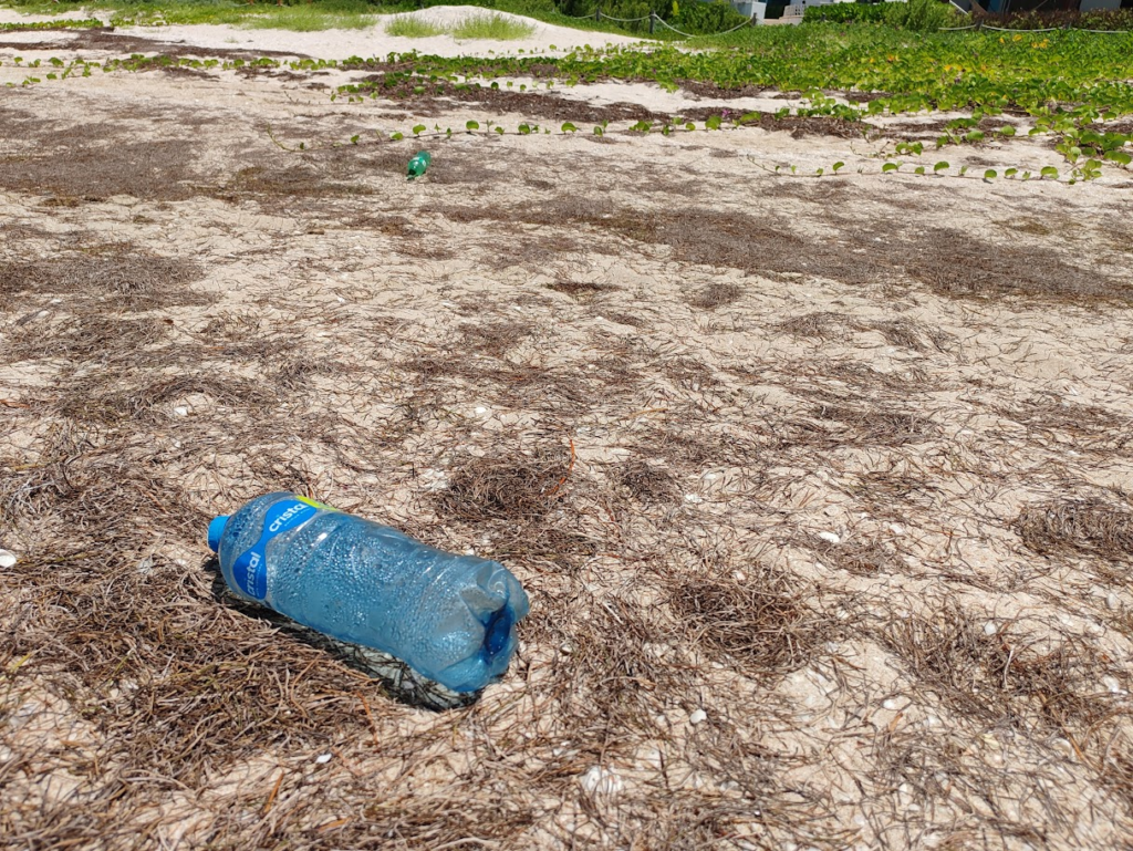 Así se ve el final de temporada en Chicxulub – Vive Mérida